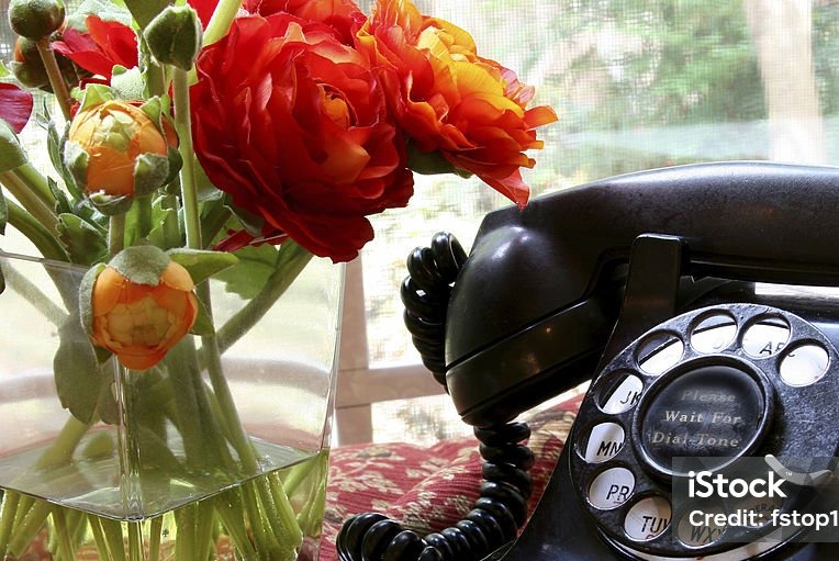 Contact Us - VIP Seniors Moving Services Ltd.